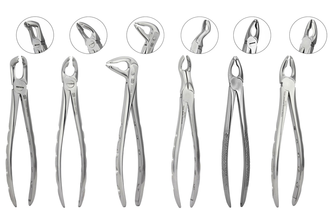 A Guide to Dental Forceps Types and Uses | Hunza Dental