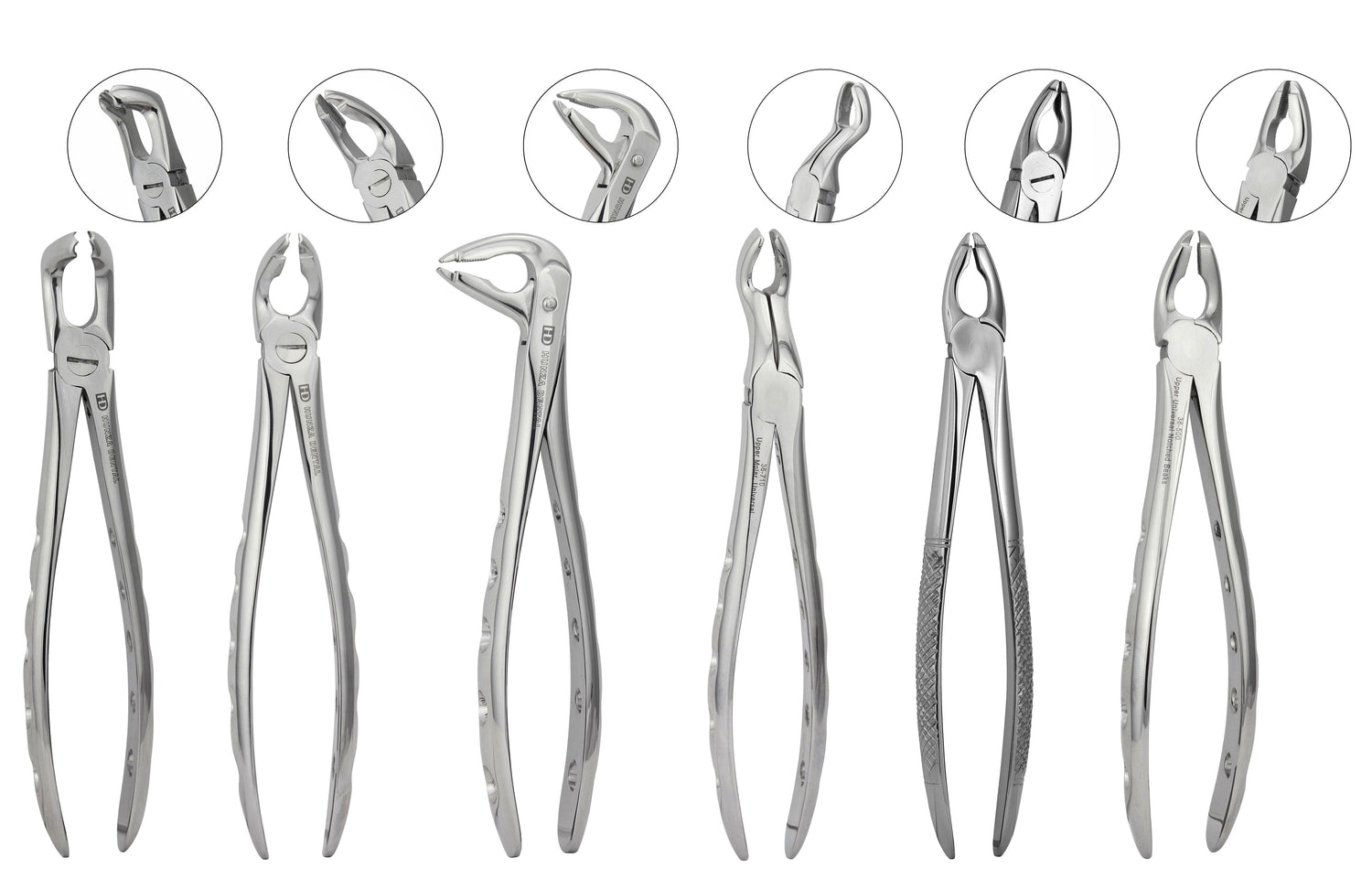 A Guide to Dental Forceps Types and Uses | Hunza Dental