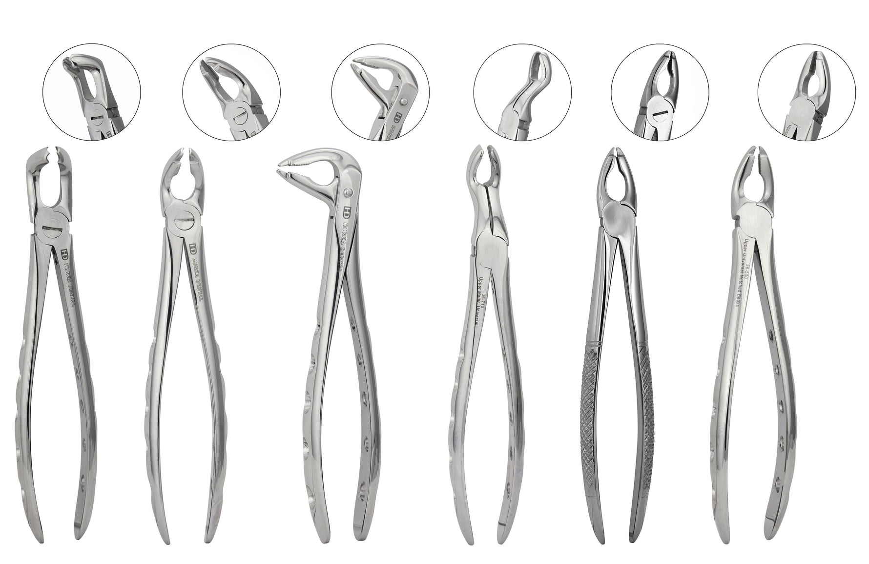 A Guide to Dental Forceps Types and Uses | Hunza Dental