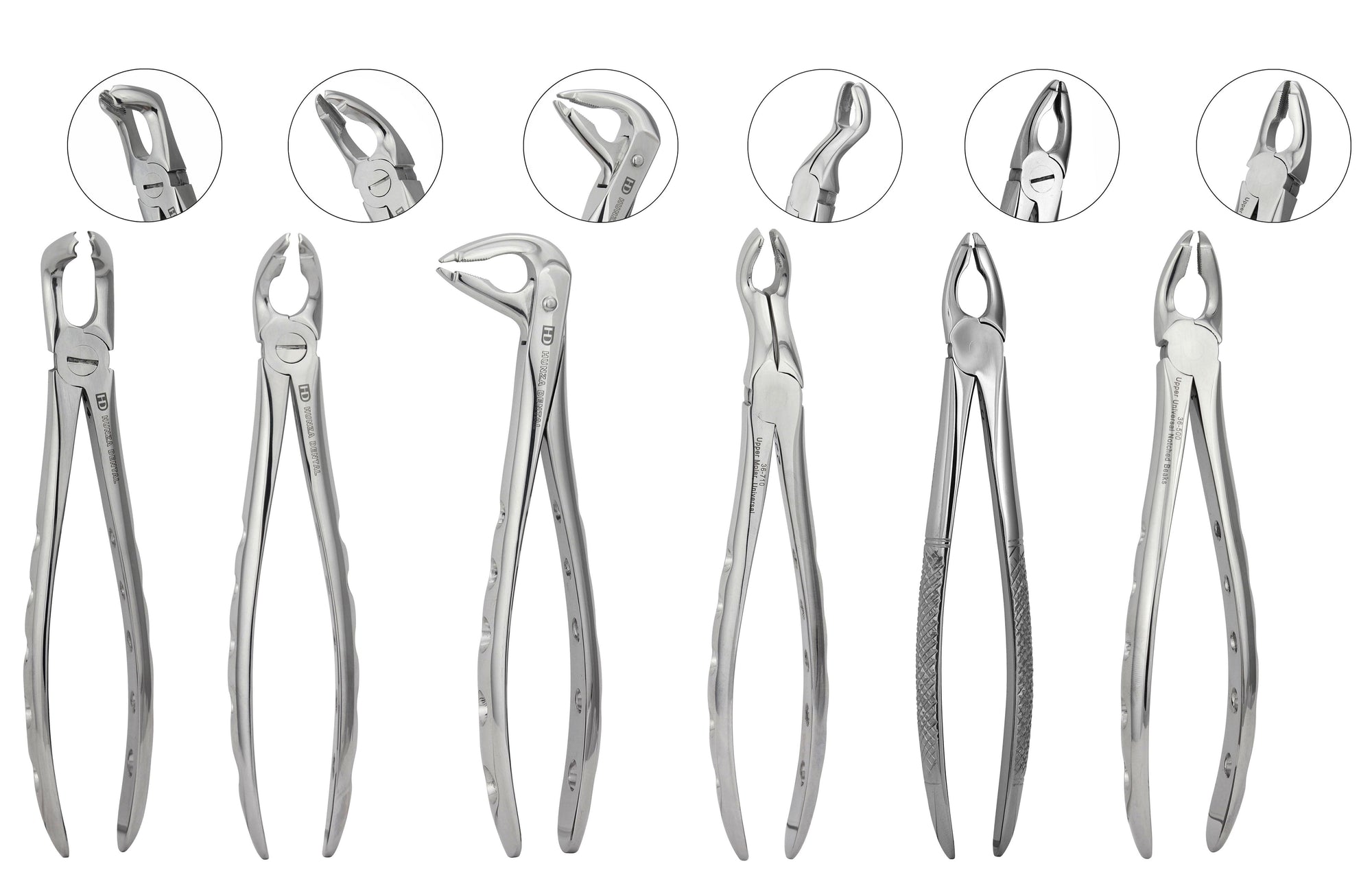 A Guide to Dental Forceps Types and Uses | Hunza Dental