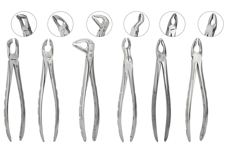 A Guide to Dental Forceps Types and Uses | Hunza Dental
