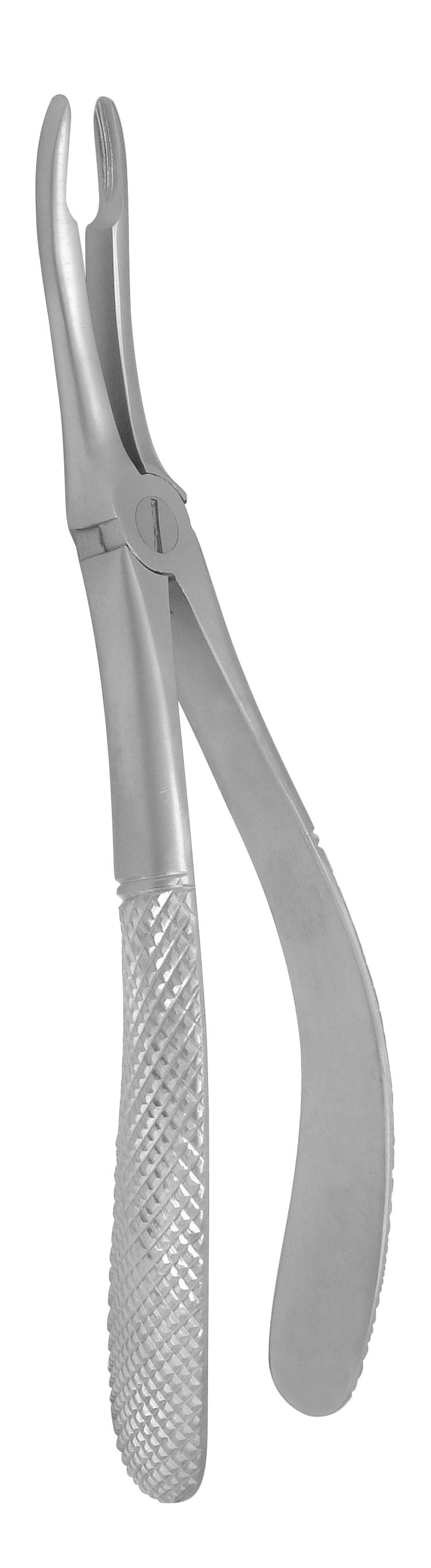 Extraction Forceps 044E Price in USA – Hunza Dental
