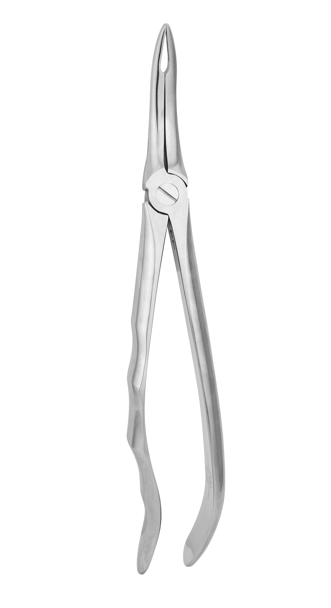 Posterior Root Tip Forceps Upper and Lower 049 Online | Hunzadental ...